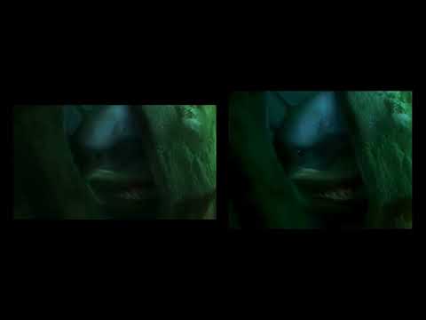 Finding Nemo Bruce Goes Mental Widescreen Vs Fullscreen
