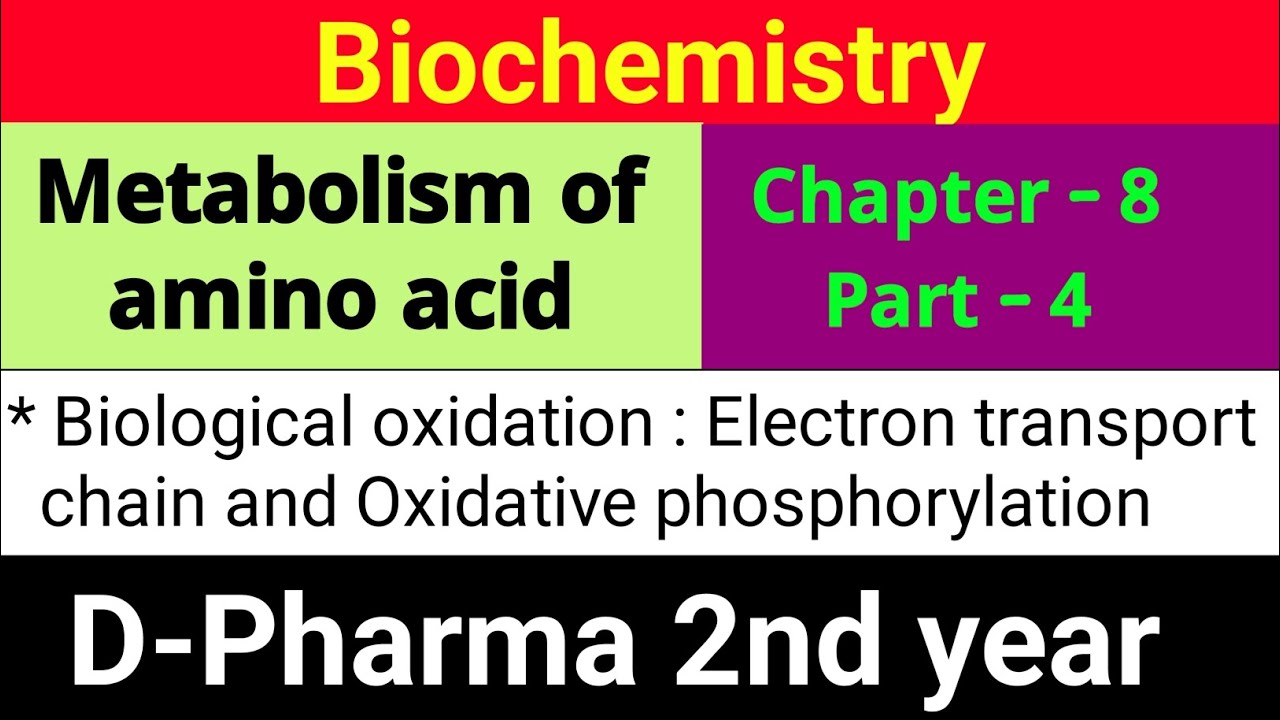 Metabolism|| Biochemistry || Biological oxidation ||Electron transport ...