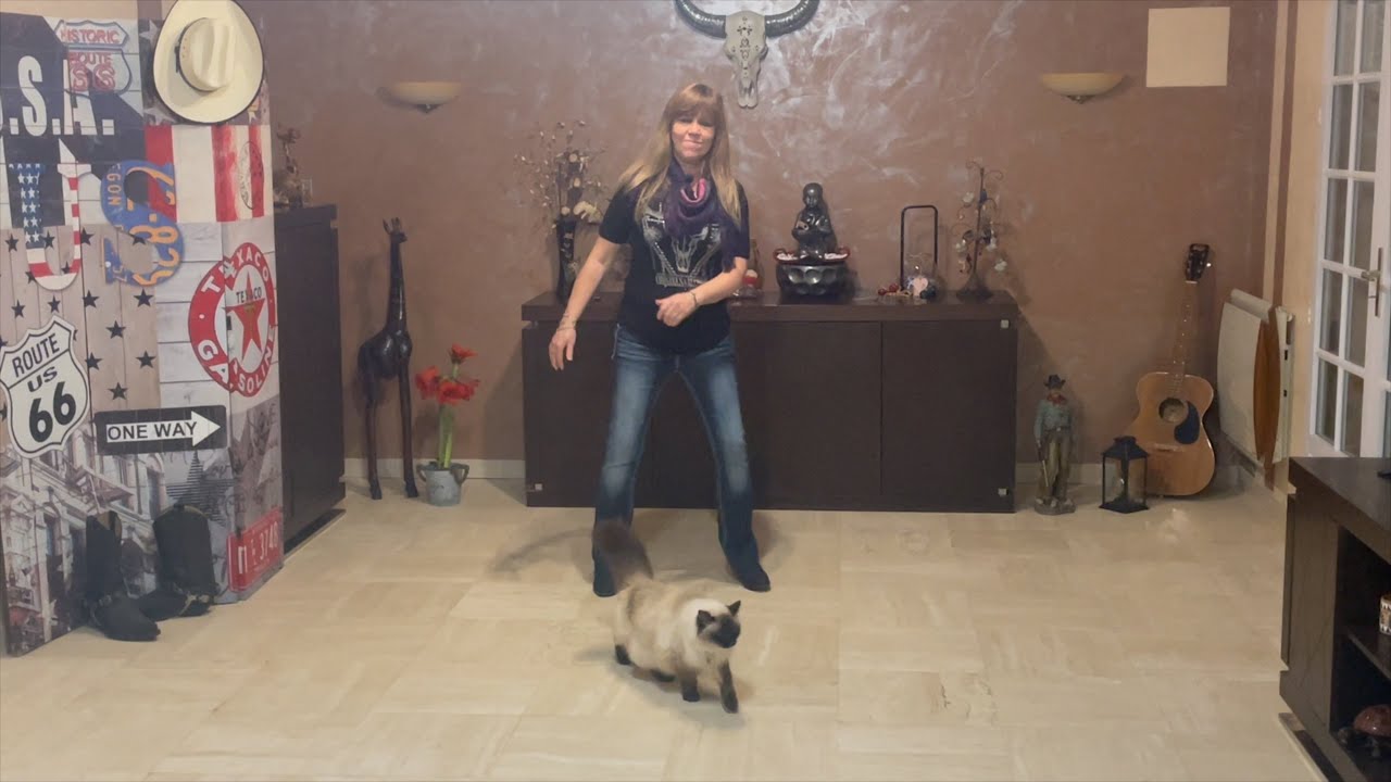 Cocaïne - Country Line Dance (Tuto et Démo) - YouTube