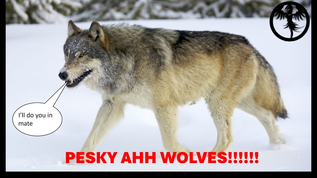 PESKY AHH WOLVES!!!!!!! | Tomb Raider #2 - YouTube