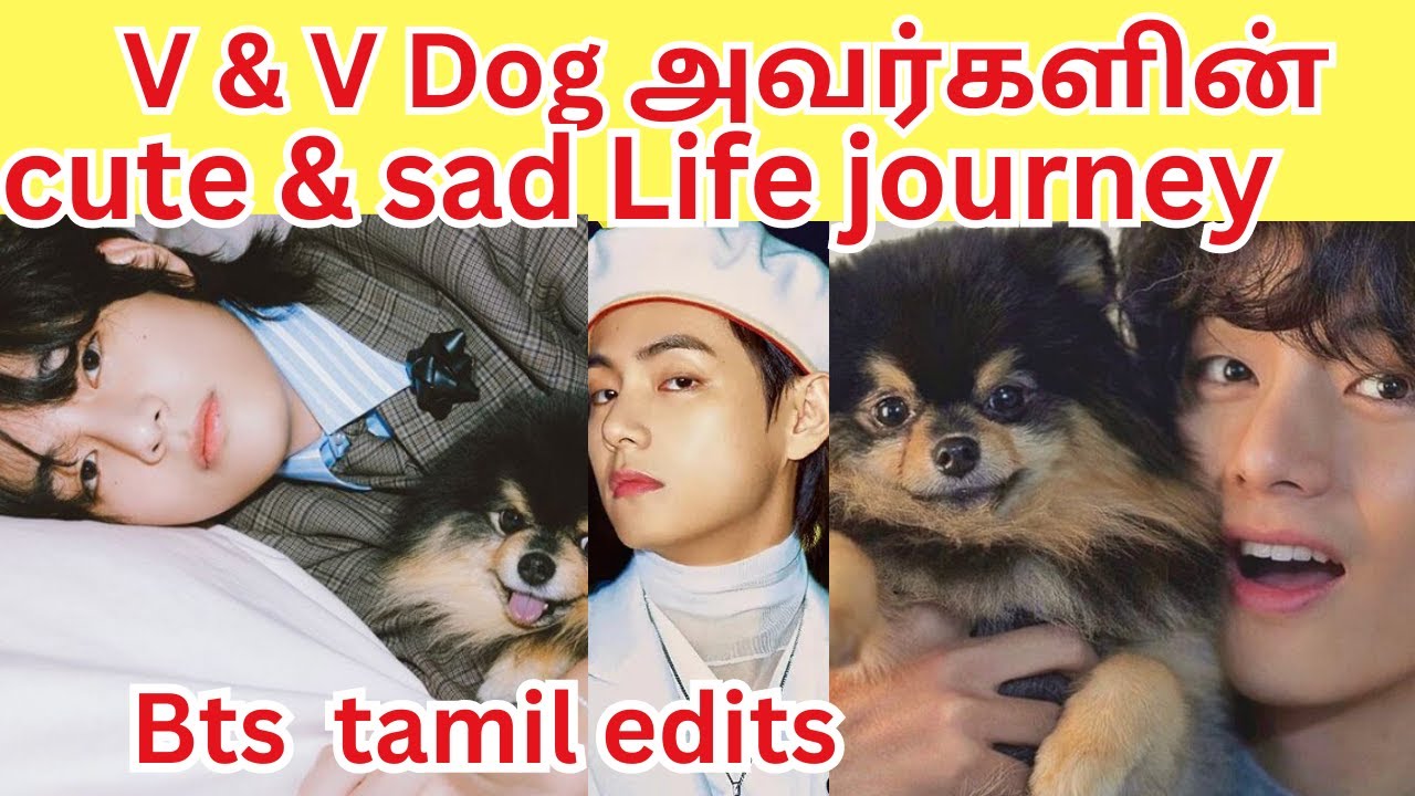 bts V & dog yeontan V and pet yeontan Life journey V always Thanks to ...