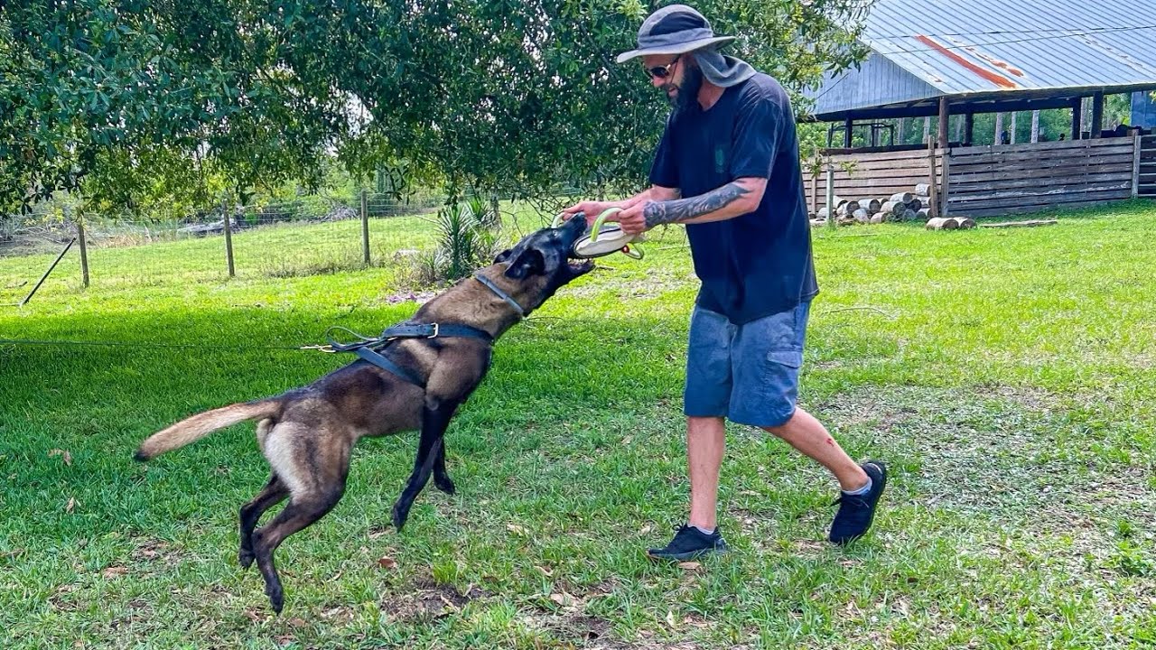 PSA training - YouTube