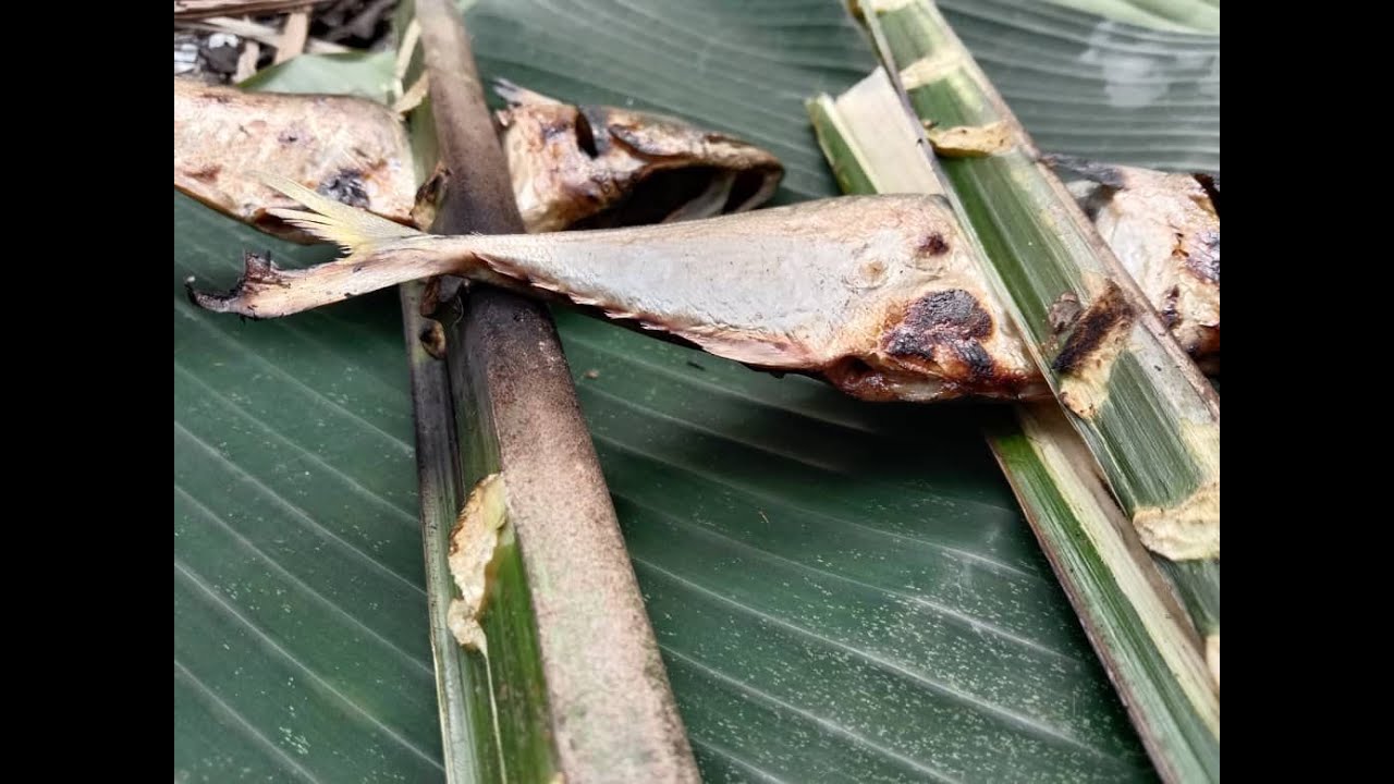 IKAN BAKAR MASAKAN RIMBA - YouTube