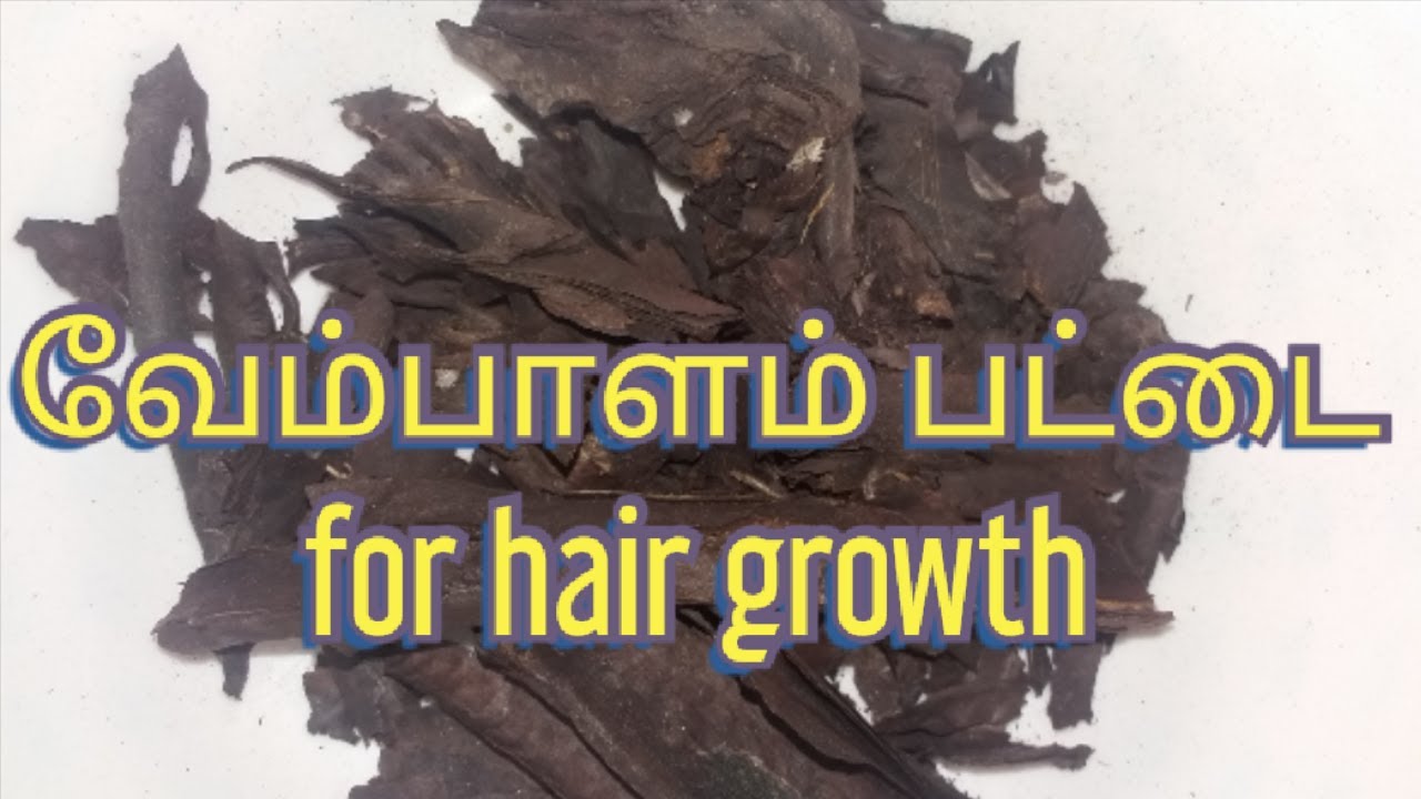 வேம்பாளம் பட்டை பயன்கள்,தலைமுடி கருப்பாக என்ன செய்ய வேண்டும் ...