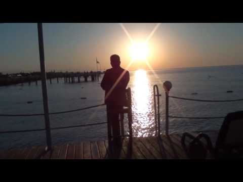 Mohsen Javadi - Asheqi 2016