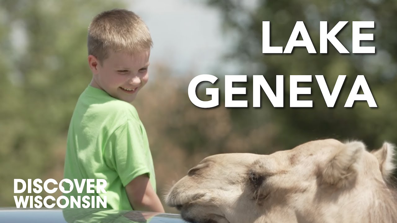 Lake Geneva Petting Zoo