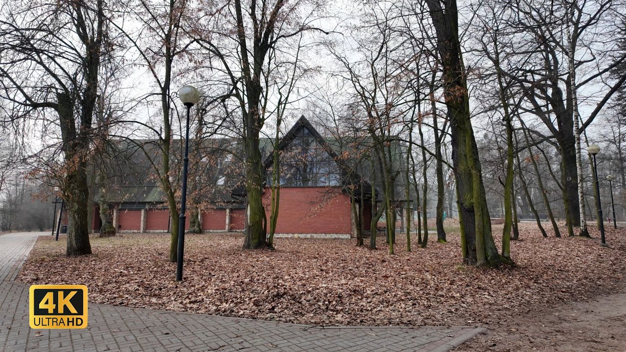 Cold Winter Walk in Poland | 4K Walking Ambience in a Park – Part 2 ...
