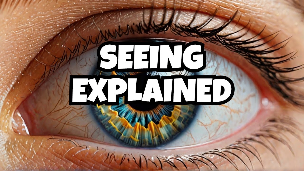 Structure of the Human Eye | How We See the World - YouTube