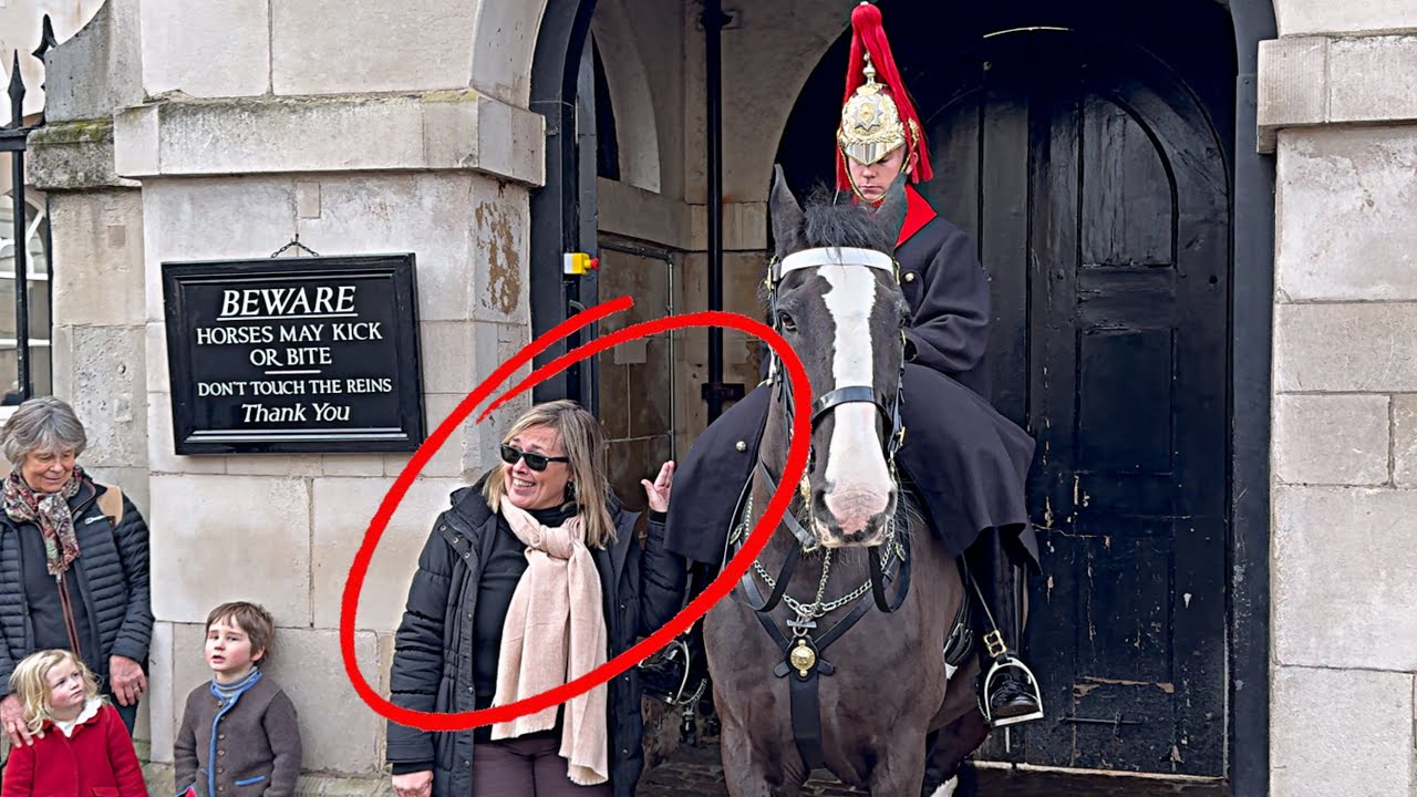 Silly Despicable Tourist Behaviour You Won't Believe this Happened TOO ...