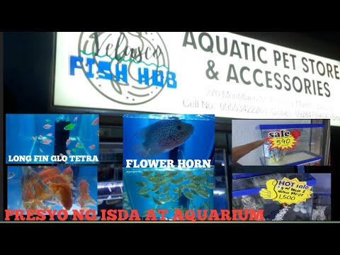 PRESYO NG ISDA AT AQUARIUM SA ALABANG MUNTINLUPA/FISH VLOG. - YouTube
