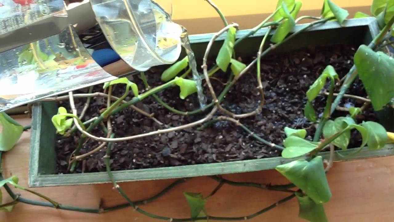 Test SloPro app on iPhone 4s. - YouTube