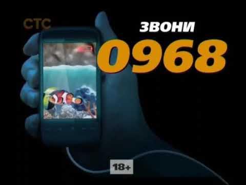 Живой Аквариум 0968 Реклама Стс Июнь 2013 - YouTube