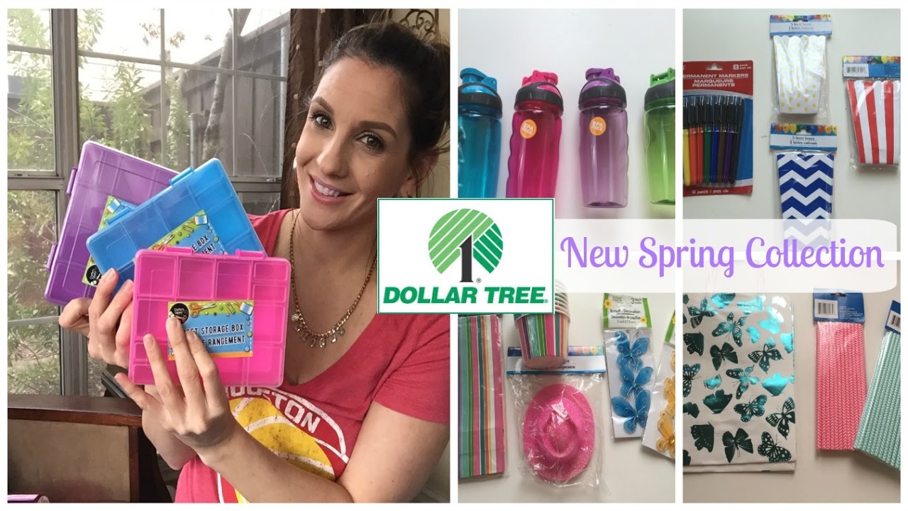 DT WEEK | DOLLAR TREE HAUL | 2 of 7 - YouTube