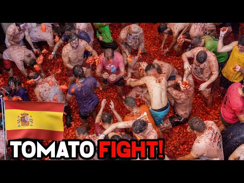 Experience Spain's Vibrant, Messy La Tomatina Festival - The Ultimate ...