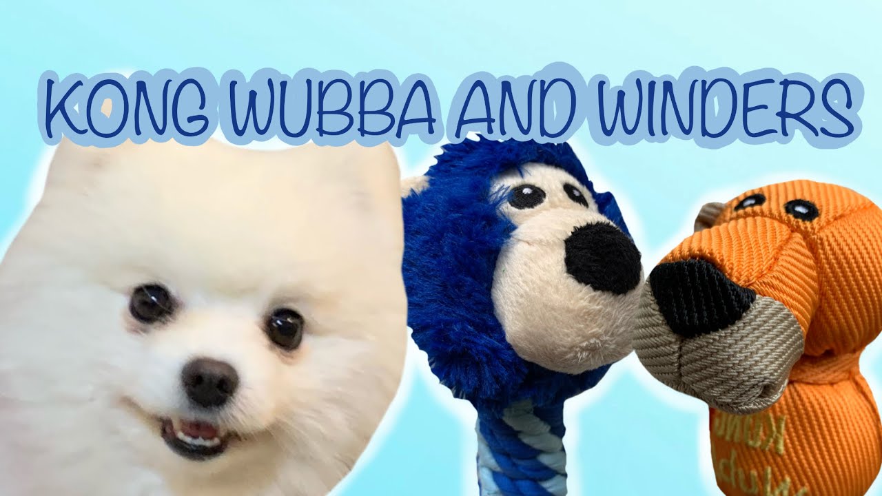 Toys with Kevin - Kong Winders and Wubba - YouTube