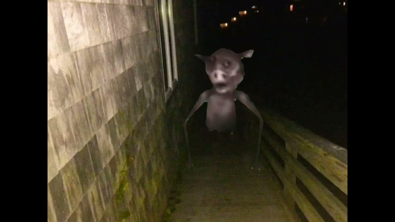 Ghost Pig JumpScare - YouTube