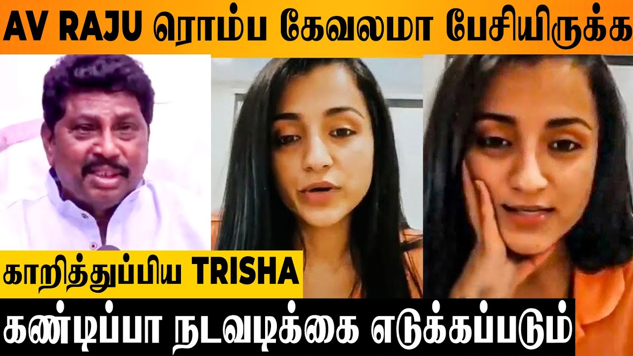 😡 Trisha's Angry Reply To AV Raju's Latest Controversial Speech - MLA ...