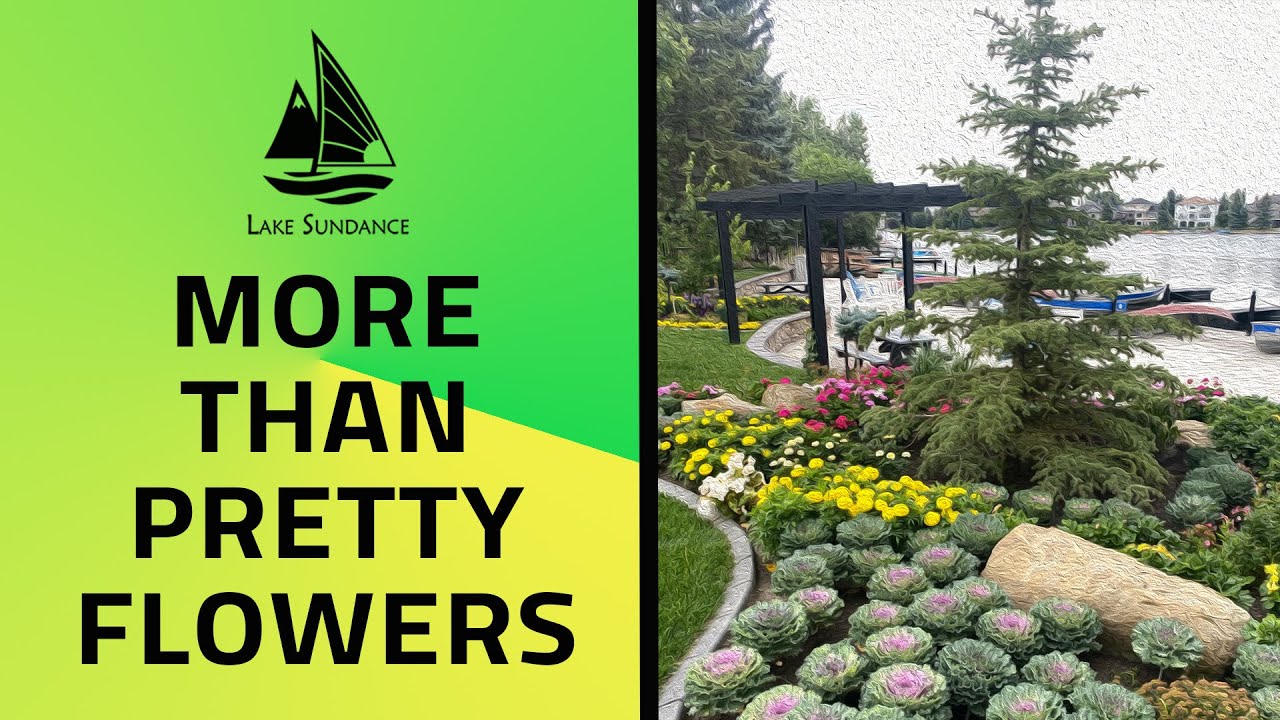 Garden Tour 2023 Lake Sundance - YouTube