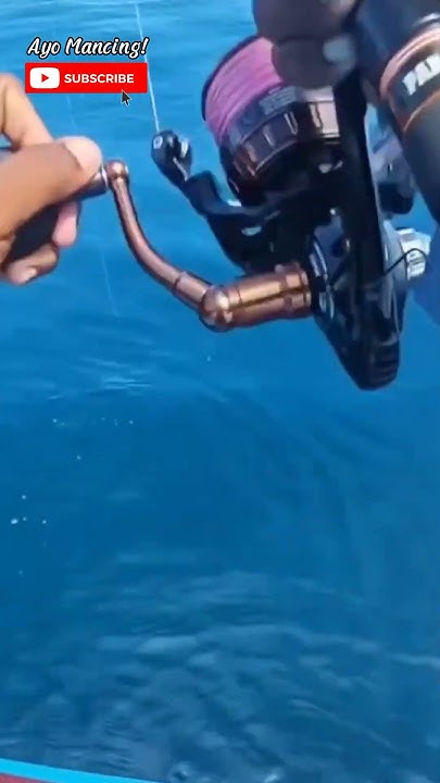 Ayo Mancing! 🎣 Mancing mania Hobi mancing Mancing seru Strike ikan besar Ikan monster Umpan jitu ...