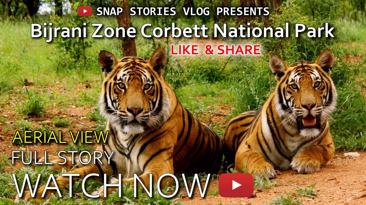 Jim Corbett National Park | Jungle Safari Bijrani Zone | District ...
