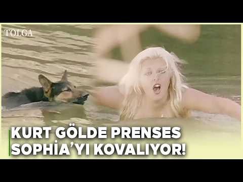 Tolga Türk Filmi | Kurt Gölde Yüzen Sophia'yı Kovalıyor