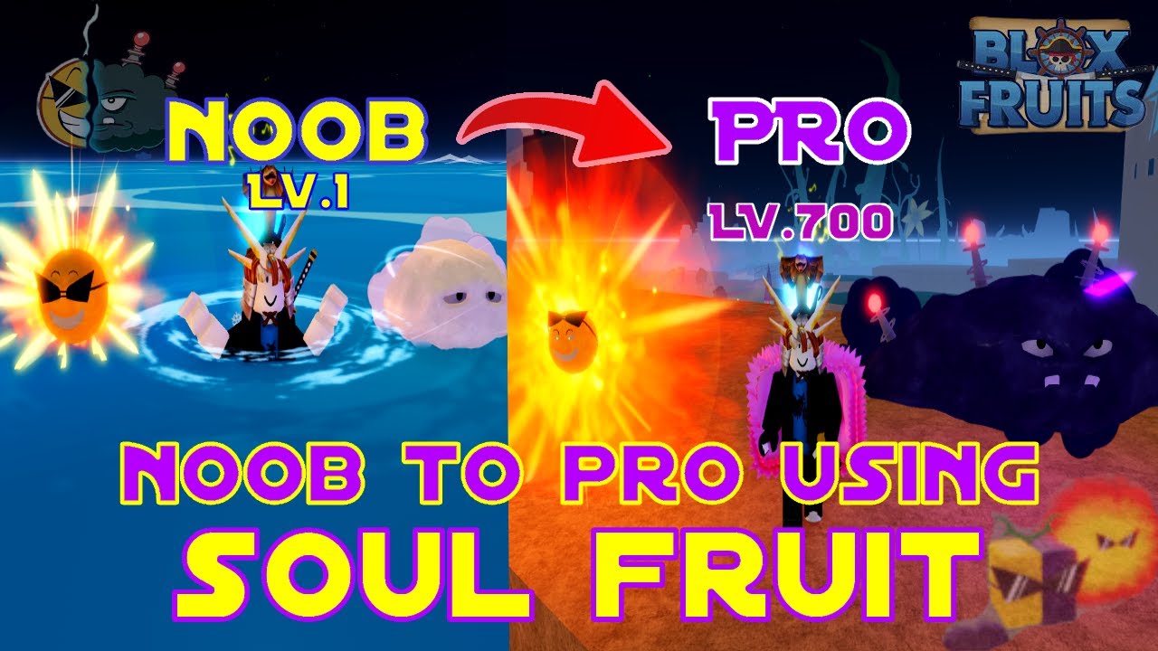 BLOX FRUITS : NOOB TO PRO USING SOUL FRUIT 👻🌳🌻🍭 - YouTube