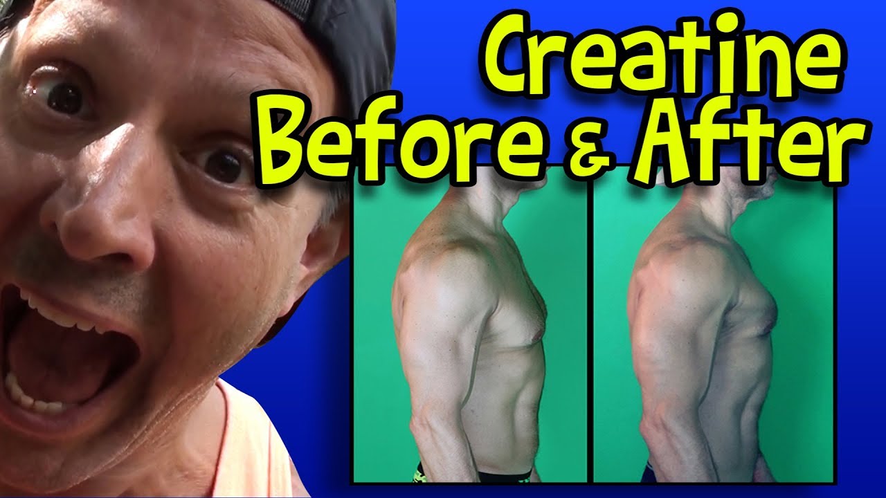 Creatine Results 2 Months
