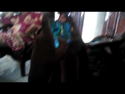 Video konyol aslinya mau ngerekam ml mobile legend