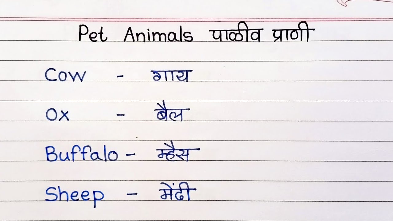 Pet Animals In English And Marathi Pet Animals Name pet-animals-in-english-and-marathi-pet-animals-name