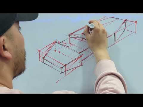 Dibujando un Escarabajo - YouTube