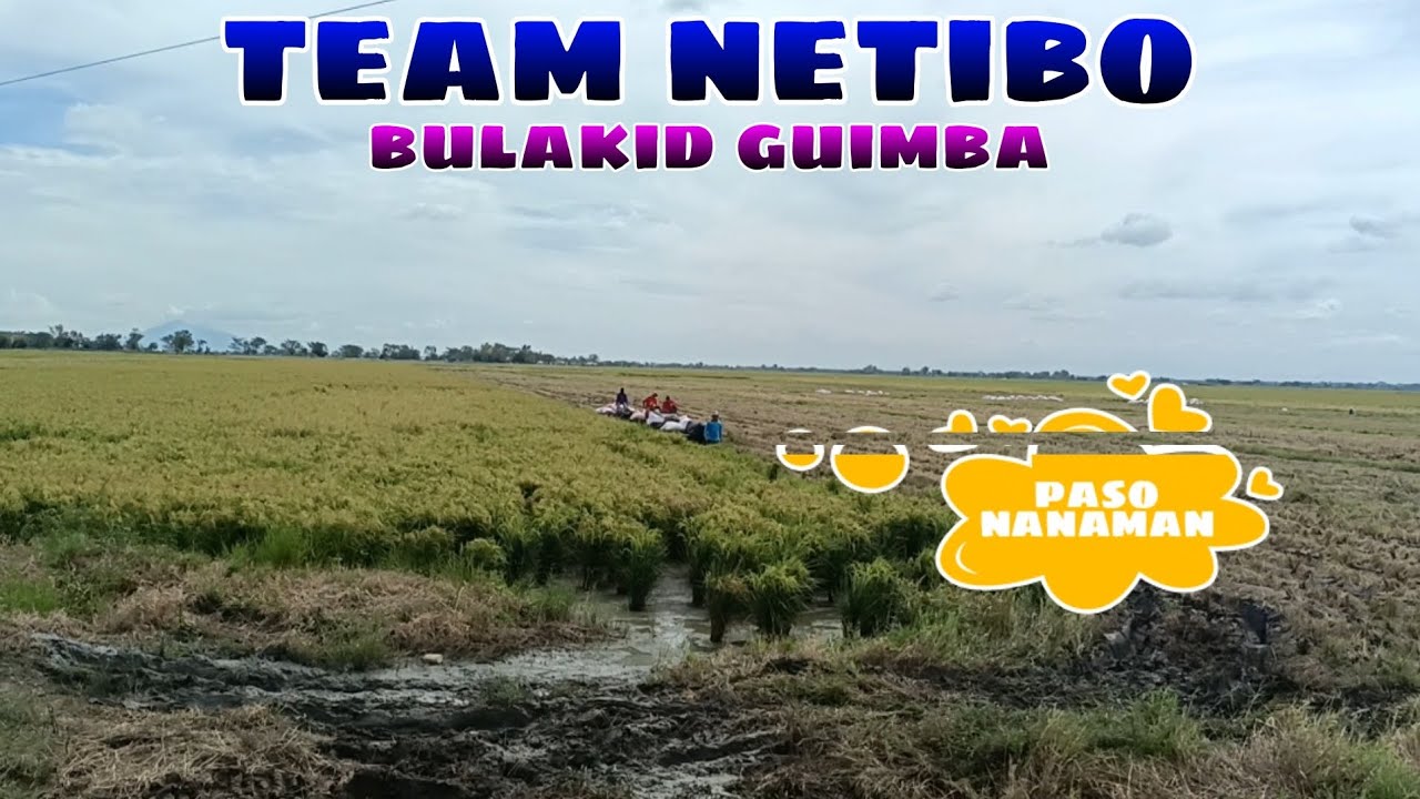 Ep-365 team netibo paso nanaman. - YouTube