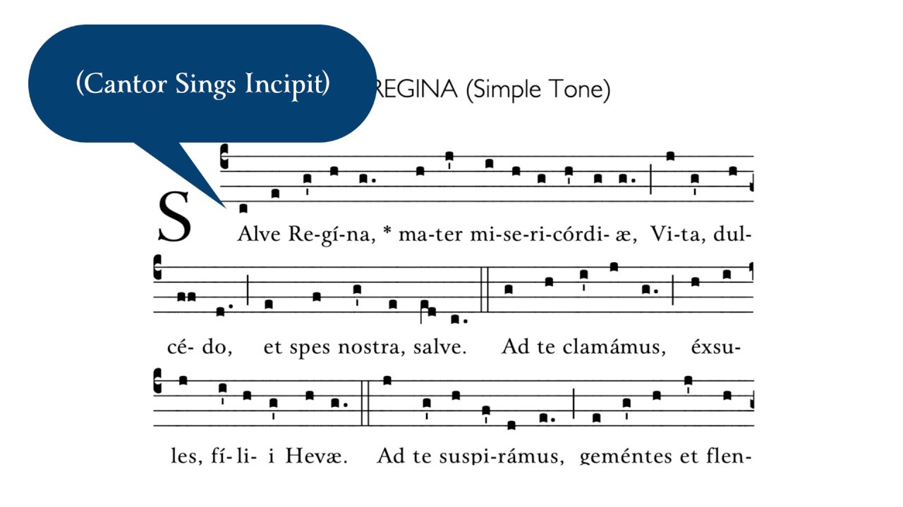 Salve Regina Practice Track - YouTube