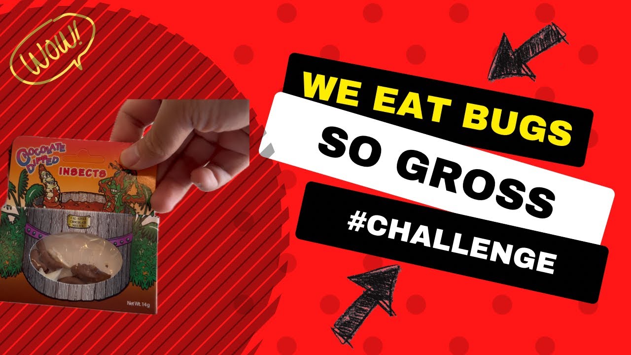 Kids try eating bugs for the first time - YouTube