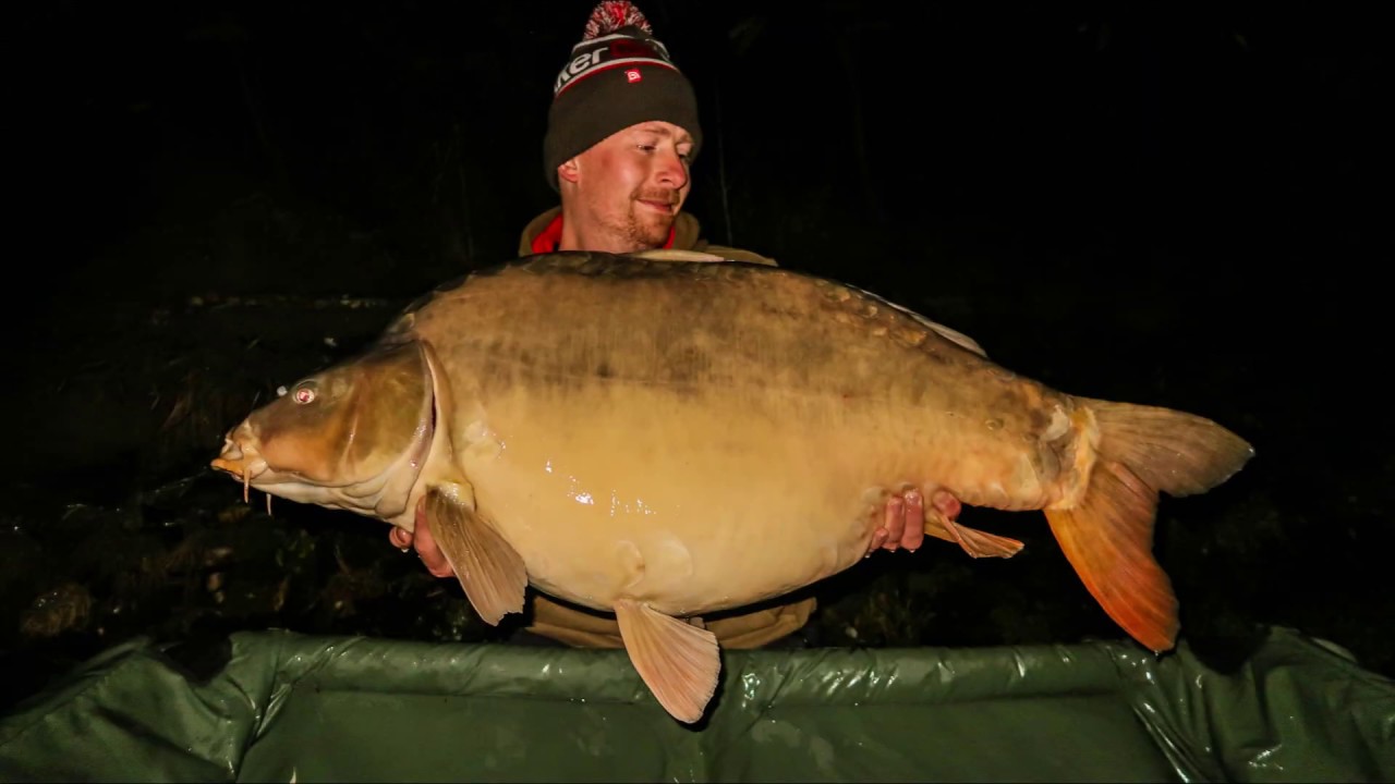 Hungary carp fishing Gyékényes 2019 - YouTube
