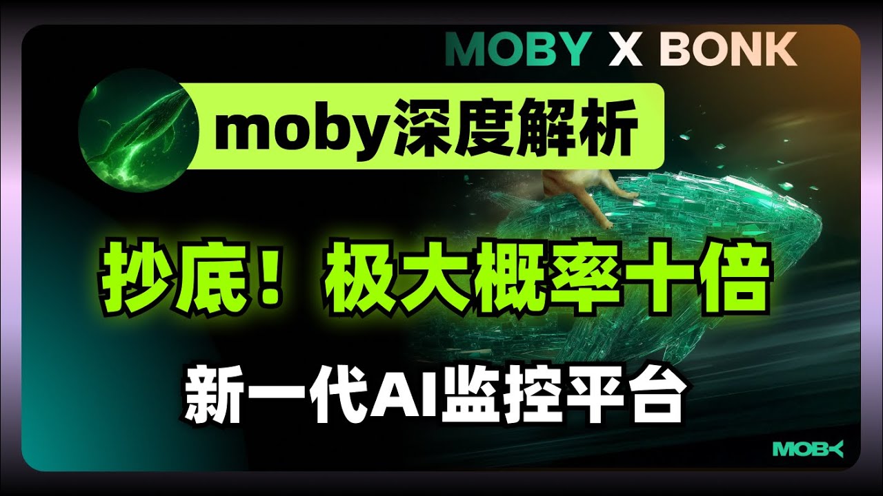 moby深度解析：新一代AI监控平台，现在抄底，极大概率实现10倍收益！！ - YouTube