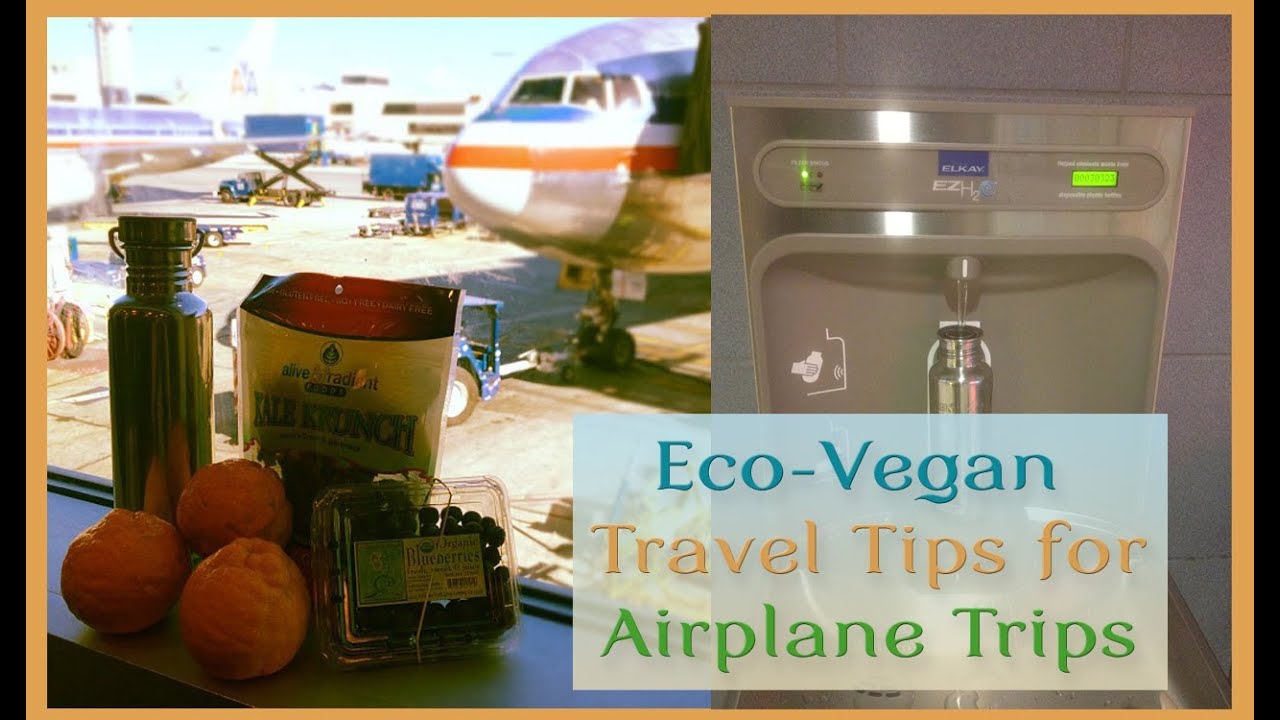 Eco-Vegan Travel Tips for Airplane Trips - YouTube