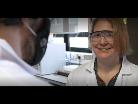 Faraday Institution Award - Researcher Development Champion (with ...