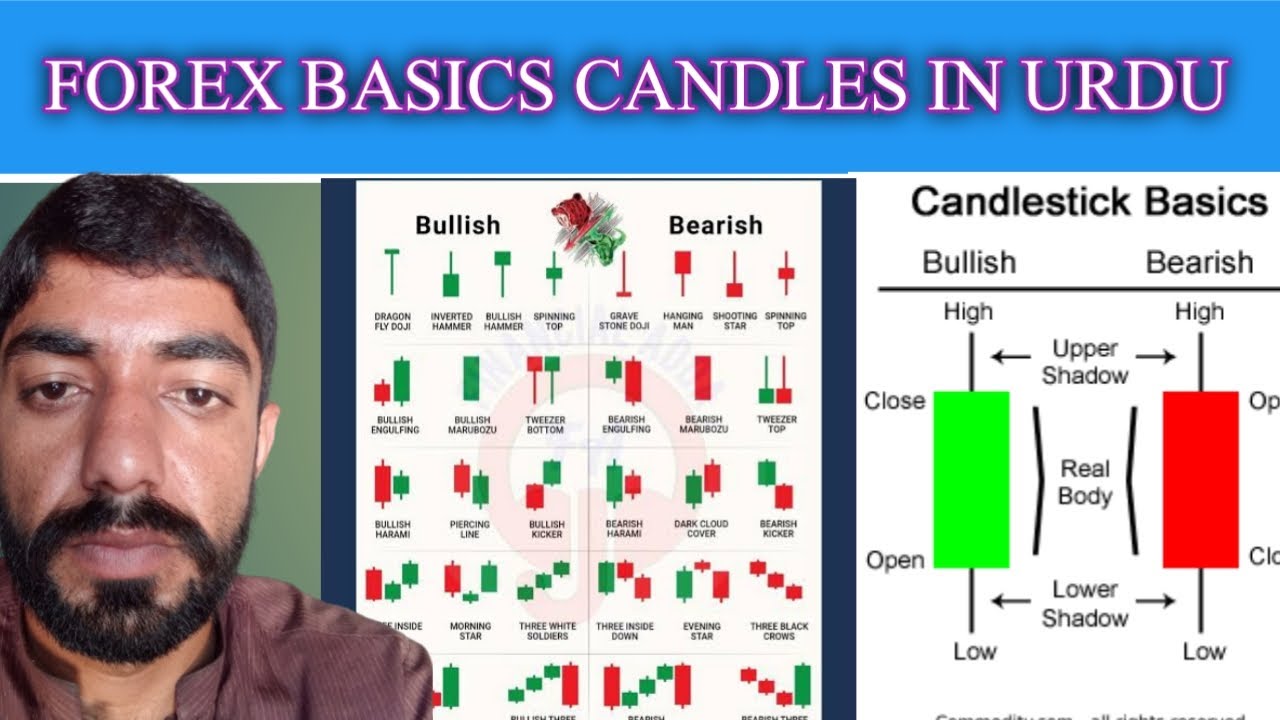 Complete Tutorial for forex Candles in Urdu|forex basic candles sticks ...