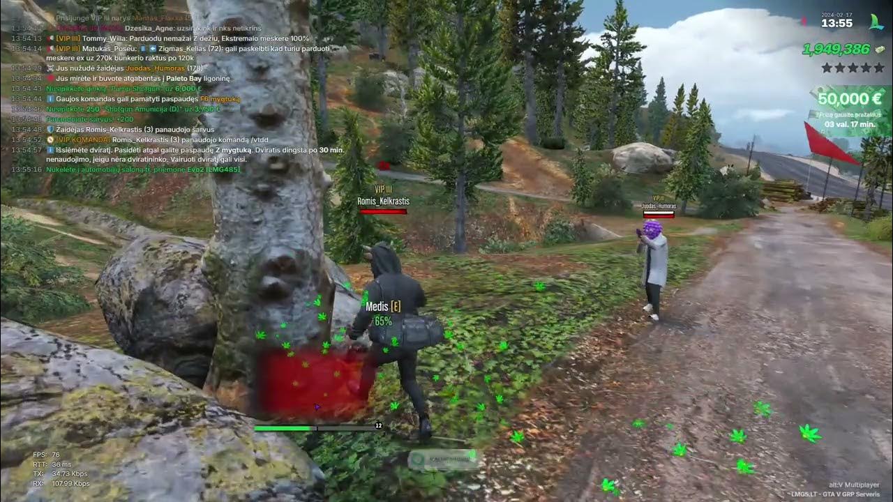 alt V Multiplayer 2024 02 17 13 55 04 - YouTube