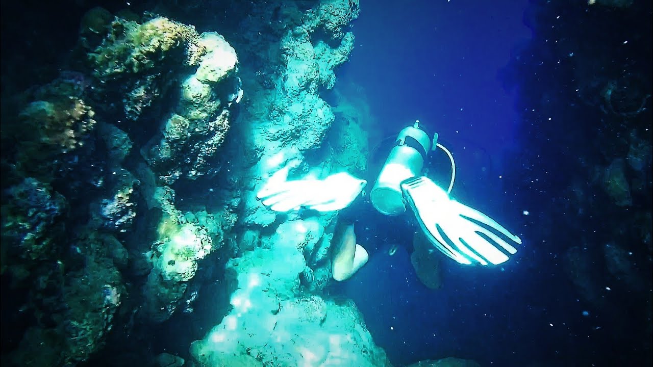 The real reason divers died in the Blue Hole #dahab #bluehole - YouTube