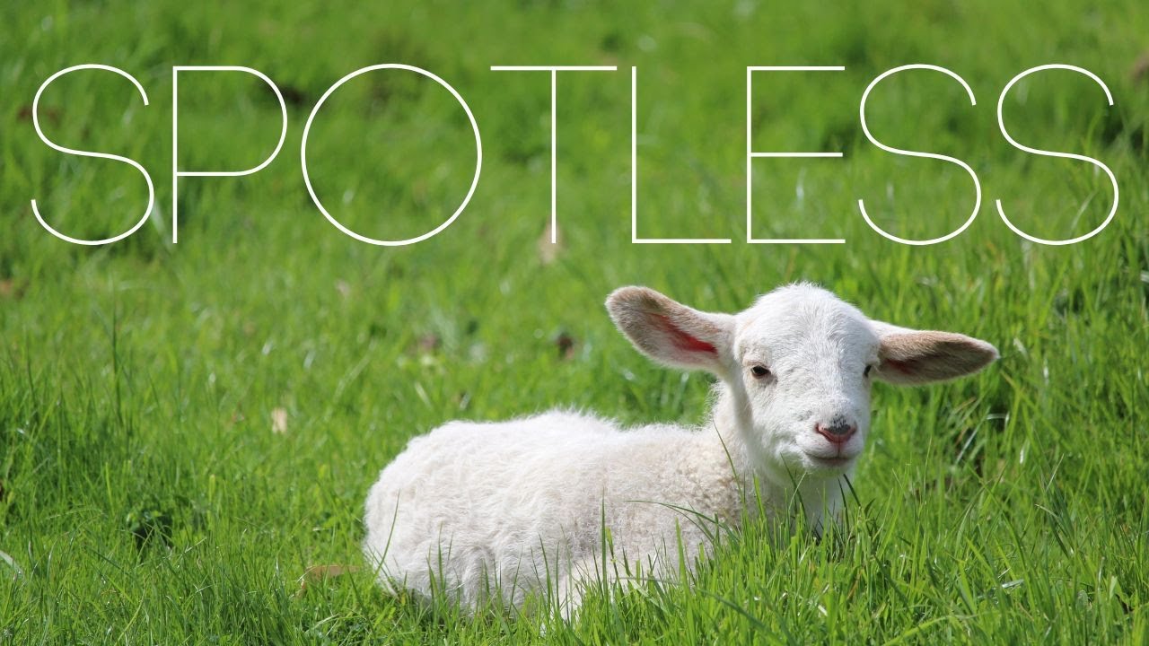 Spotless Sermon On 2 Peter 3 14 18 YouTube