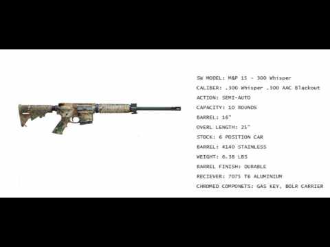 SW M P15  300 Whisper Overview