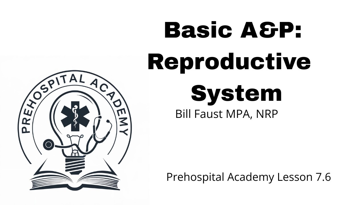 Basic Anatomy and Physiology: Reproductive System - YouTube