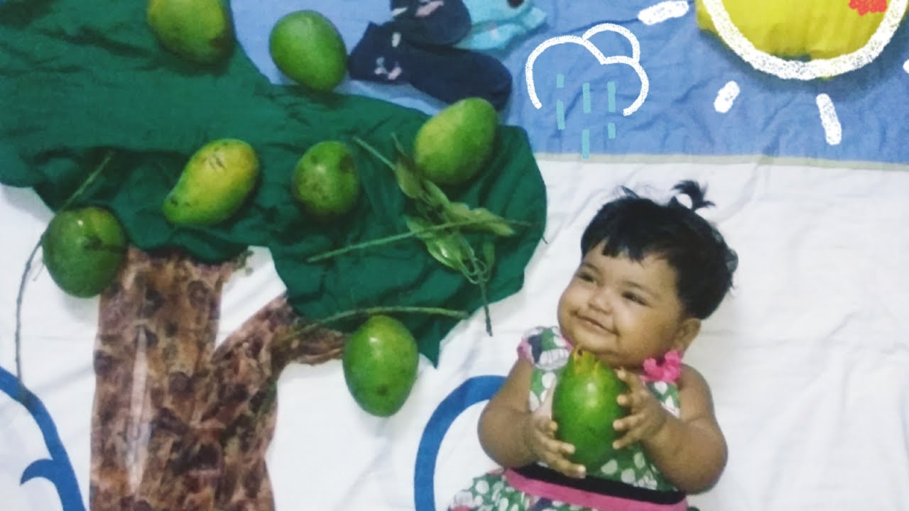 mango tree baby photoshot||@home my baby minha - YouTube