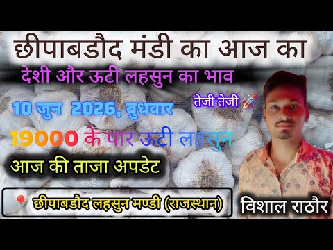10 जून 2026, बुधवार, छीपाबडौद लहसुन मंडी का भाव !! Aaj ka Lahsun ka Bhav !! Garlic Rate Today's !! 