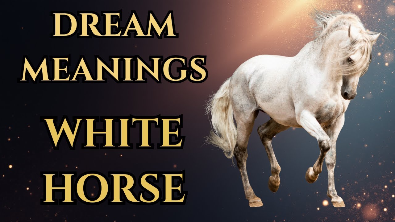 What Does Seeing a White Horse in a Dream Mean? Dream Interpretations ...