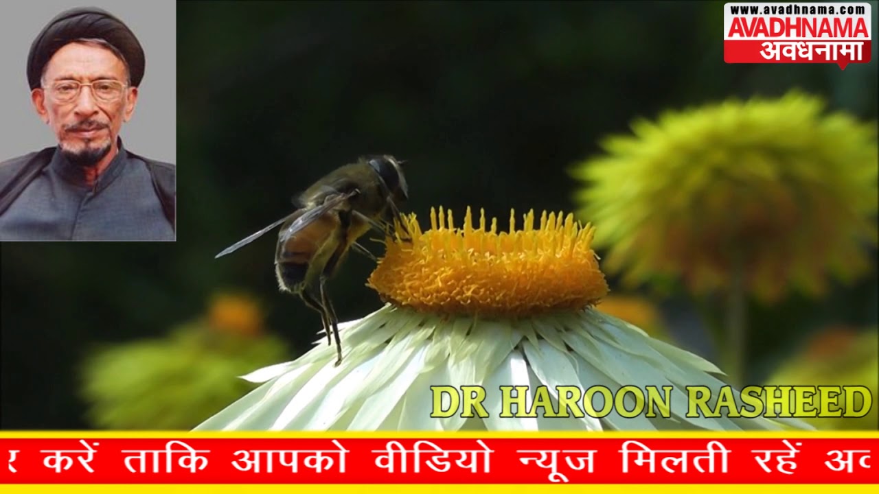 VARIS- VARASAT 87 KIST || AYATULLAH HAMIDUL HASAN || AVADHNAMA NEWS || DR HAROON RASHEED - YouTube