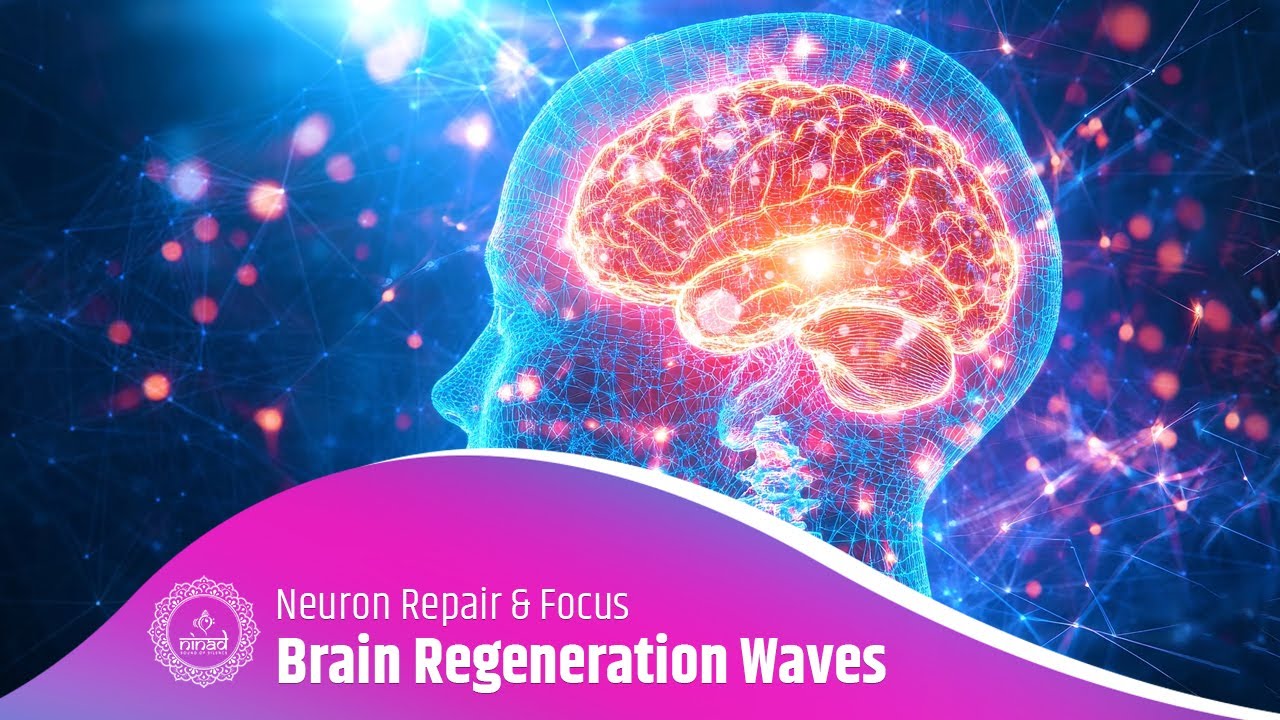 Brain Regeneration | Theta Waves for Neuron Repair, Focus & Mental ...