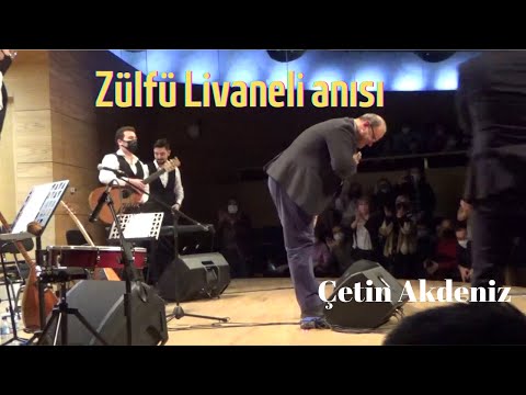 Çetin Akdeniz' in yolu Zülfü Livaneli ile nasıl kesişti
