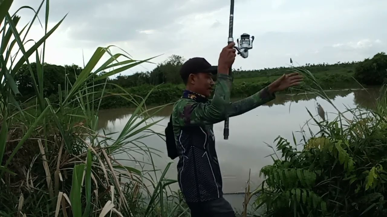 coba mancing di spot rawa - YouTube